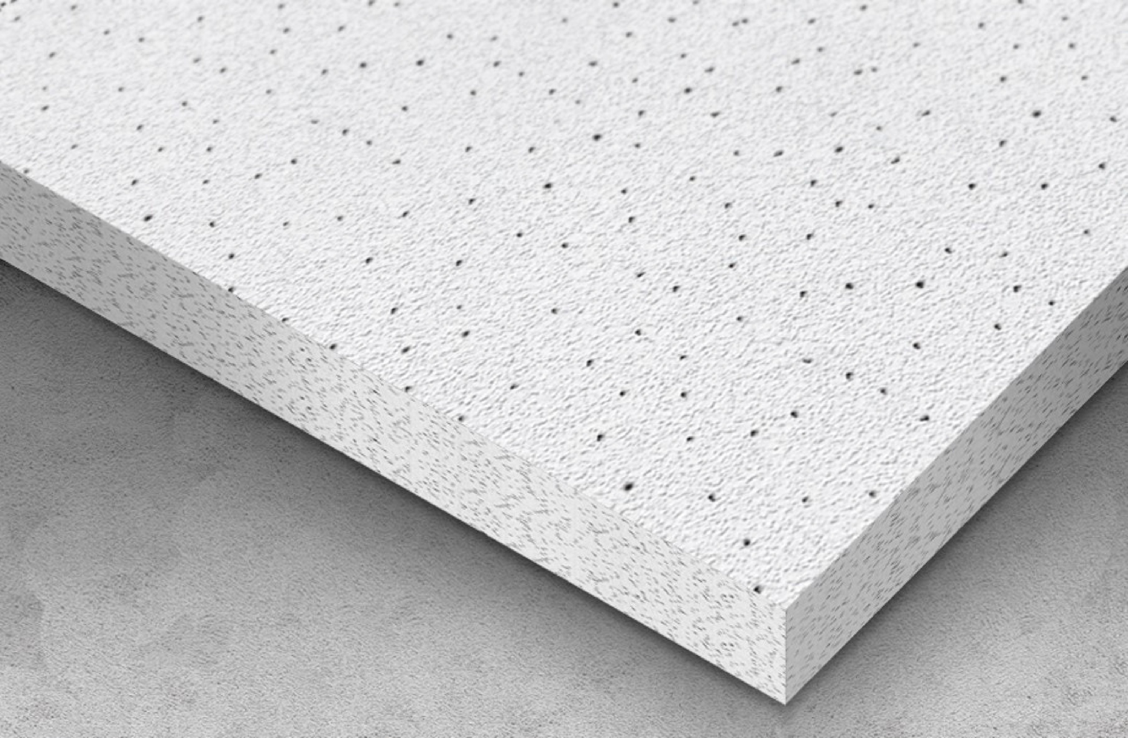Acoustic Ceilings & Sound absorption Panels | Knauf Philippines